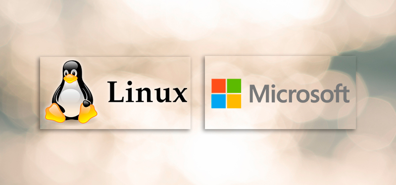 ¡Confirmado! Microsoft desarrolla sistema operativo basado en Linux ...