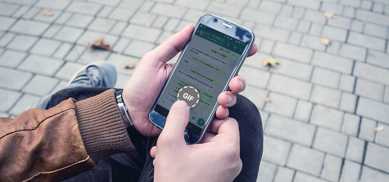 Cómo enviar GIF's por WhatsApp - Blog PSafe | Especialista en ...